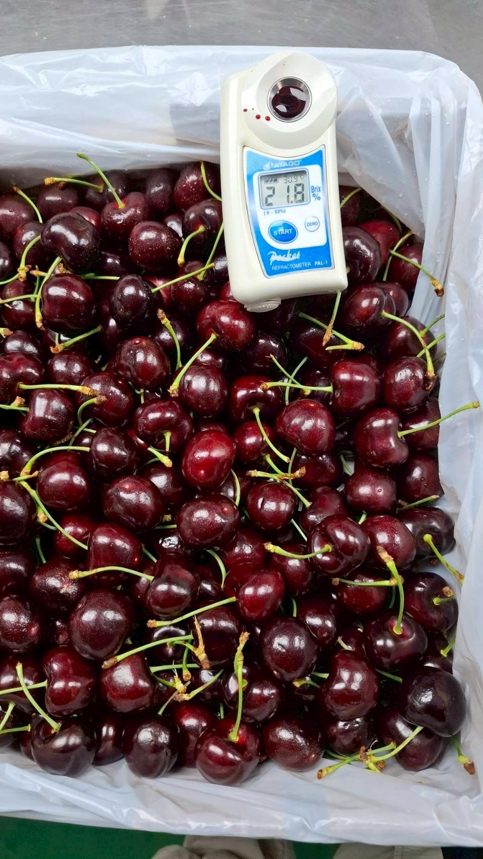 🍒 8.5r美國華盛頓空運櫻桃 5公斤原封件 | 果然美-鮮果舖