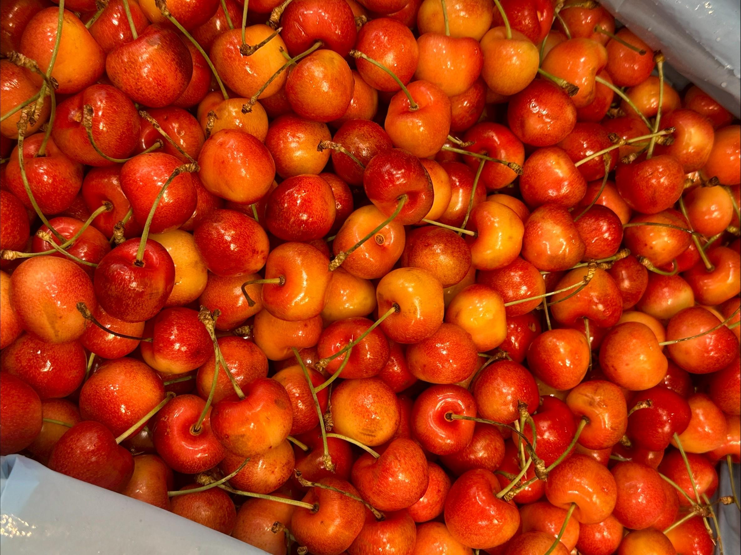 美國華盛頓高山草莓焦糖白櫻桃9.5R – 1kg禮盒 | 果然美-鮮果舖